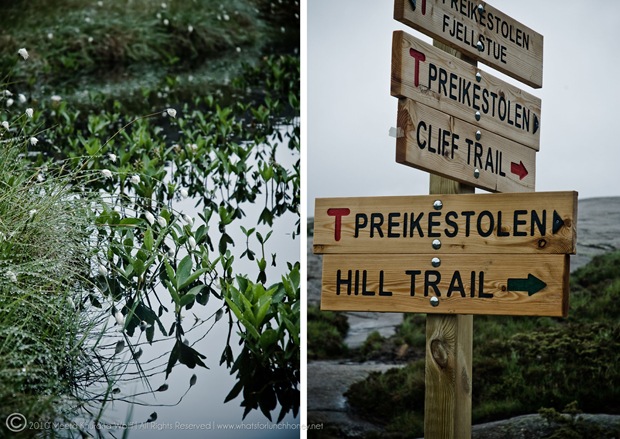 What's For Lunch Honey?: Serendipity in Norway Part 1 - Mandal ...